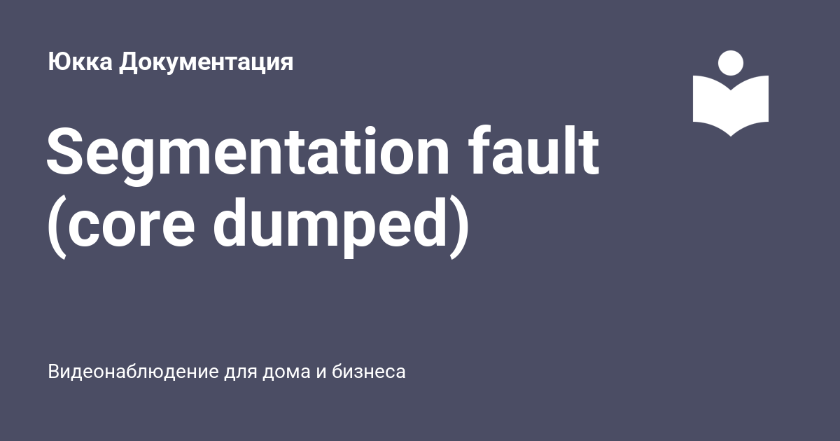 Segmentation Fault Core Dumped Юкка Документация 